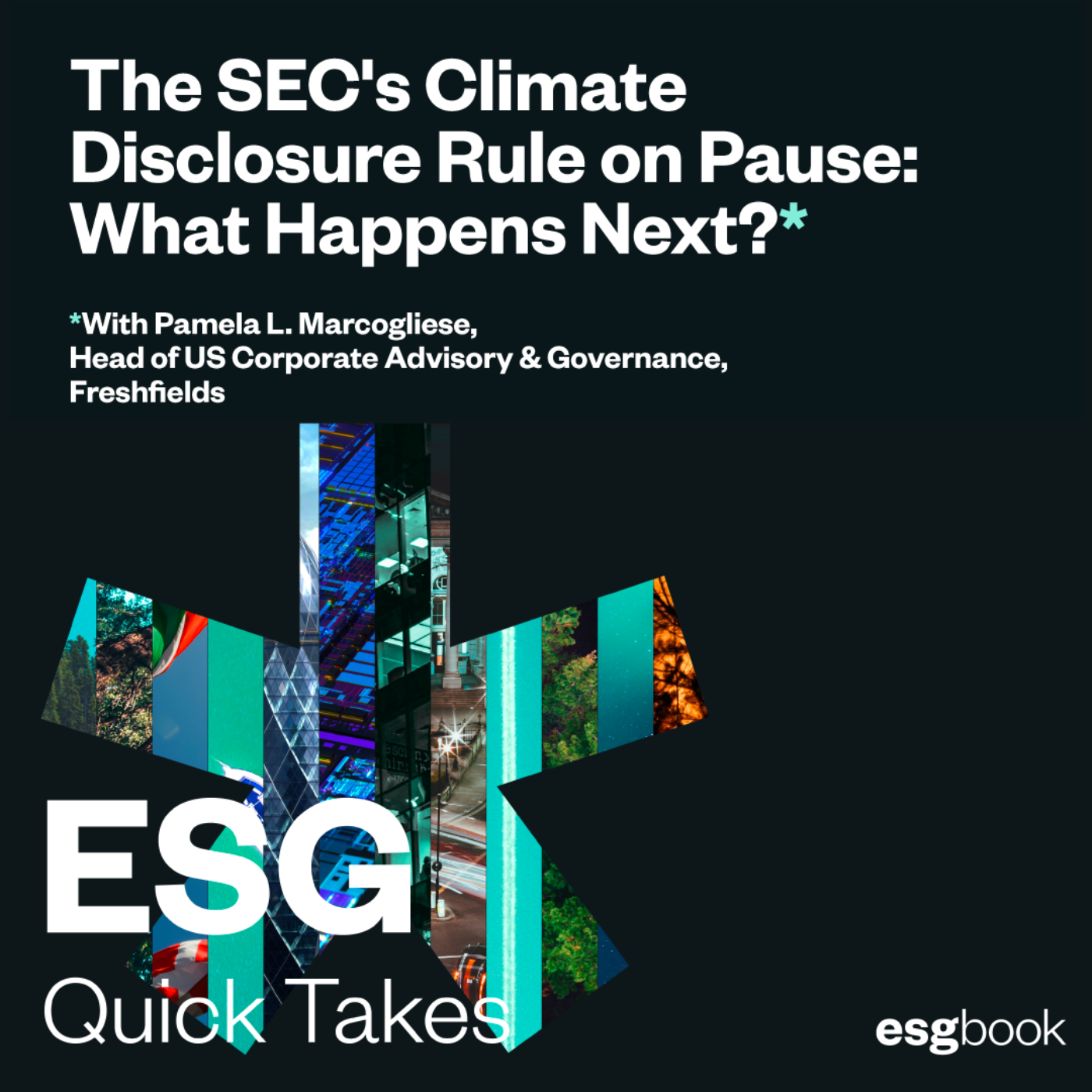 The SEC's Climate Disclosure Rule on Pause: What Happens Next? – ESG Quick Takes – Podcast – Podtail