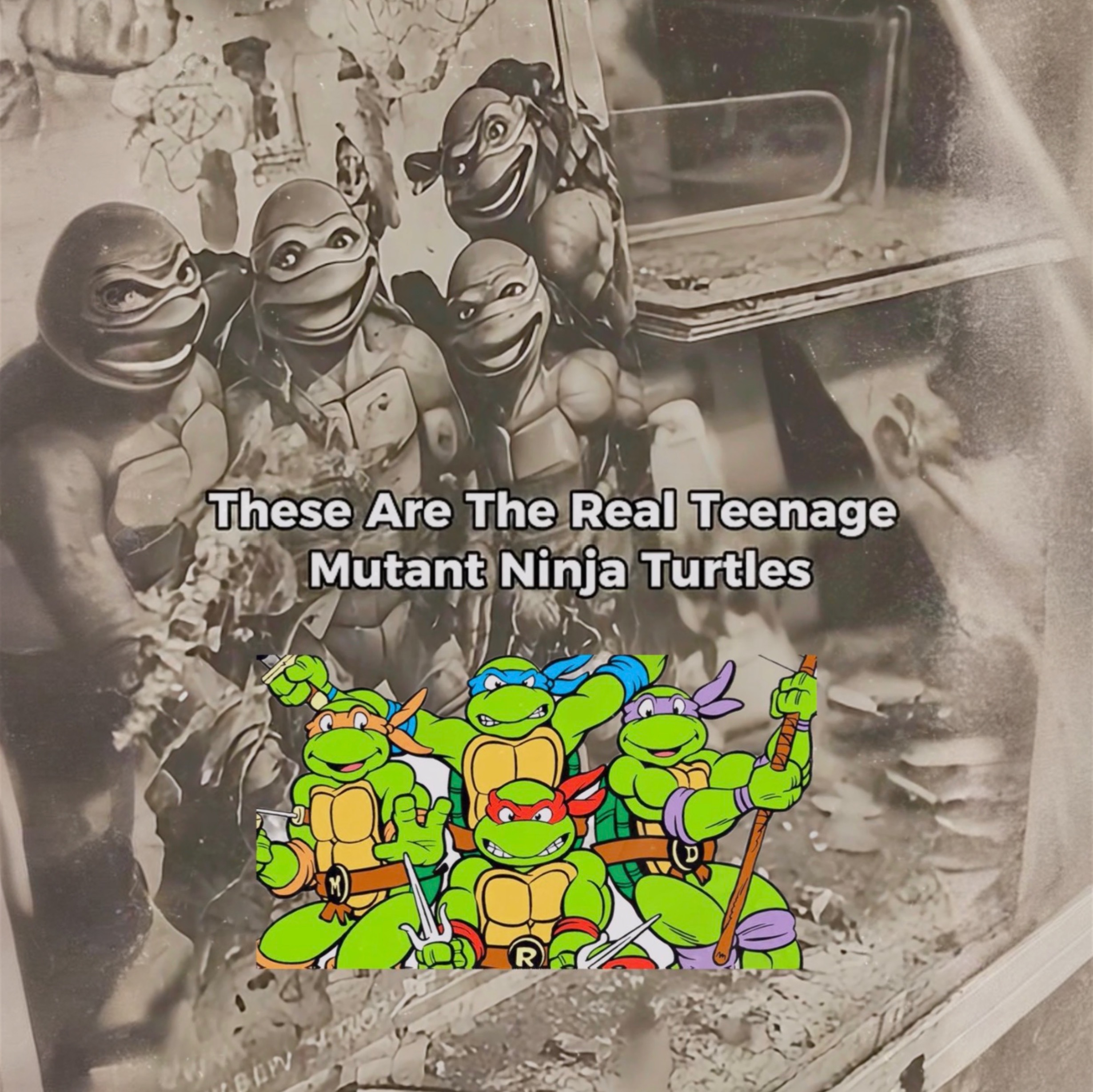 Project Shellshock: The Dark TMNT Origin Legend – Inspector Story ...