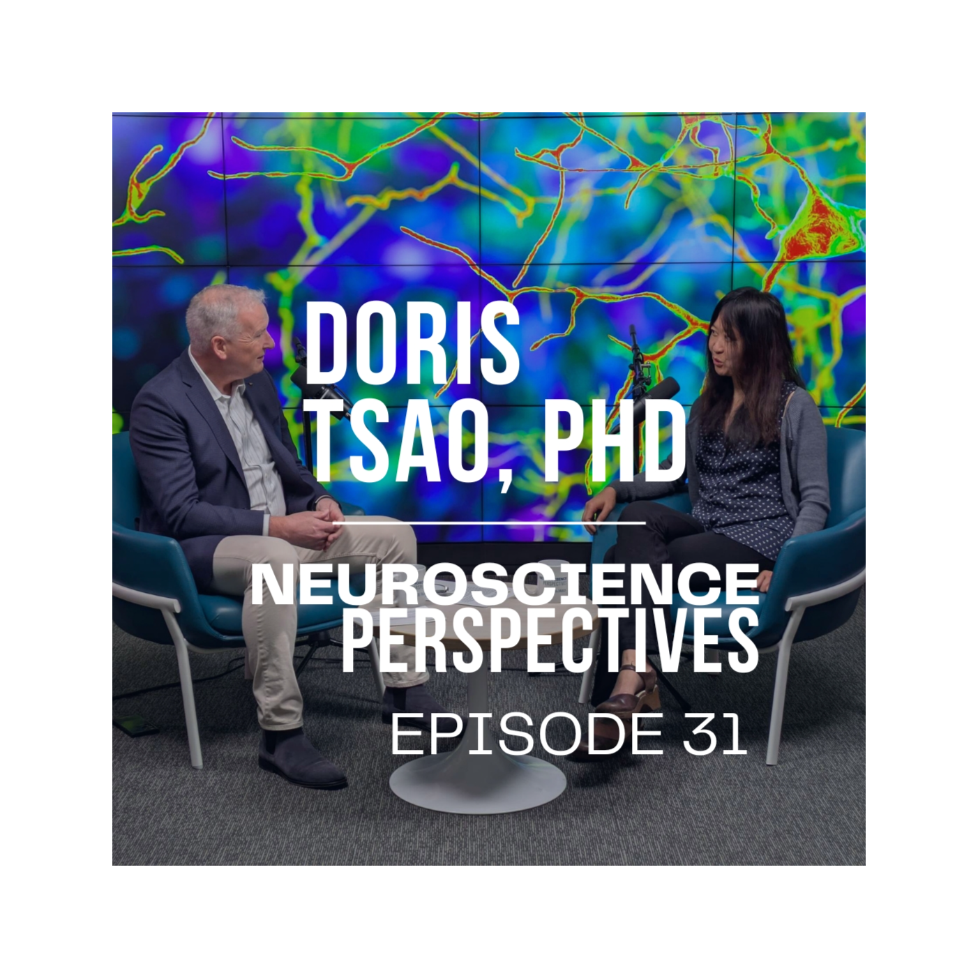 The Brain vs AI: Dr. Doris Tsao & Why the Brain is More Efficient than ...