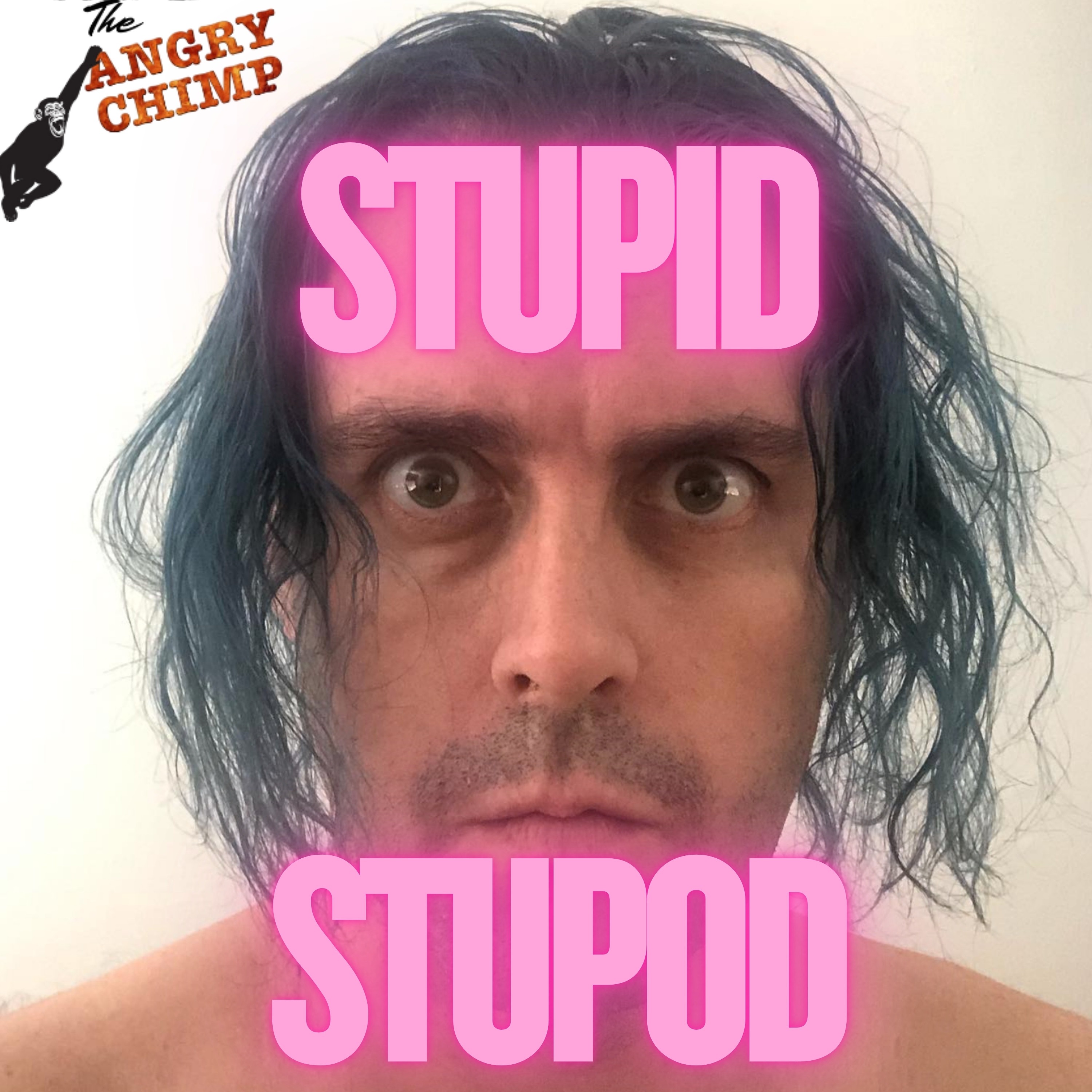Stupid Stupod Podcast Republic