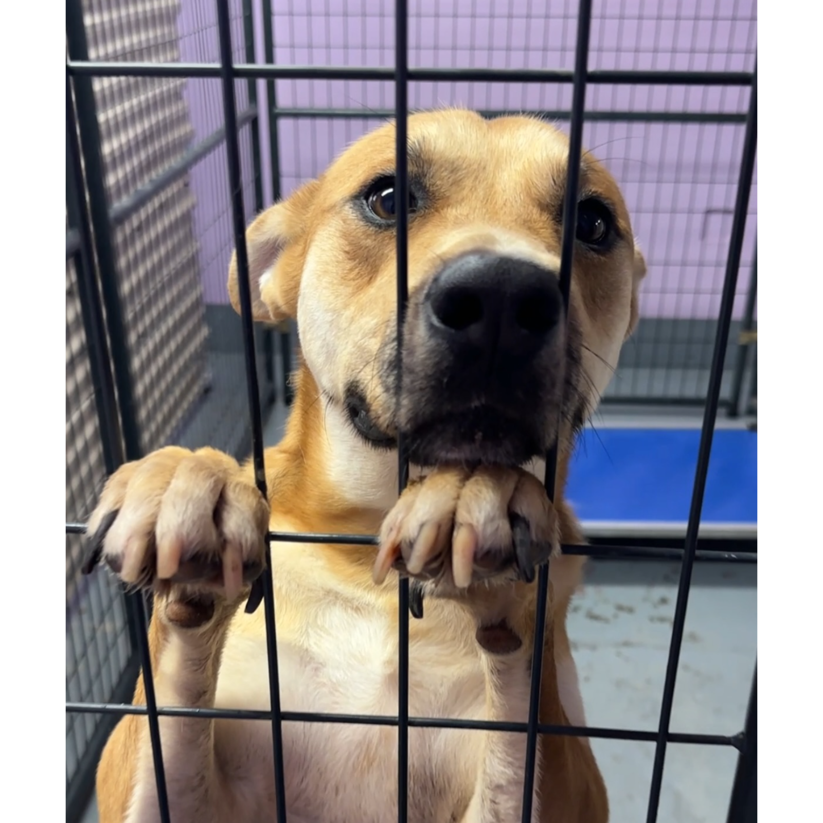 Lawyers, judge await more direction from appeals court in 1987 El Paso ...