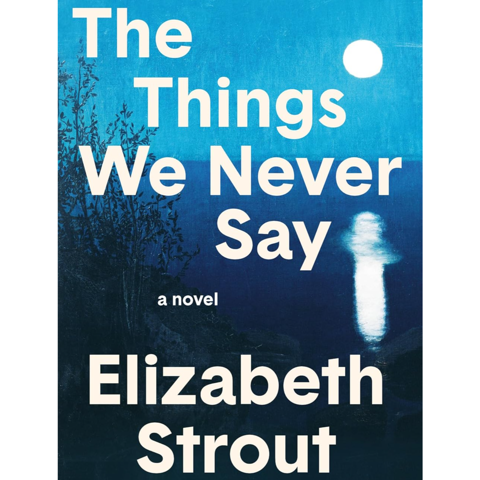 The Things We Never Say: A Novel by Elizabeth Strout, Book