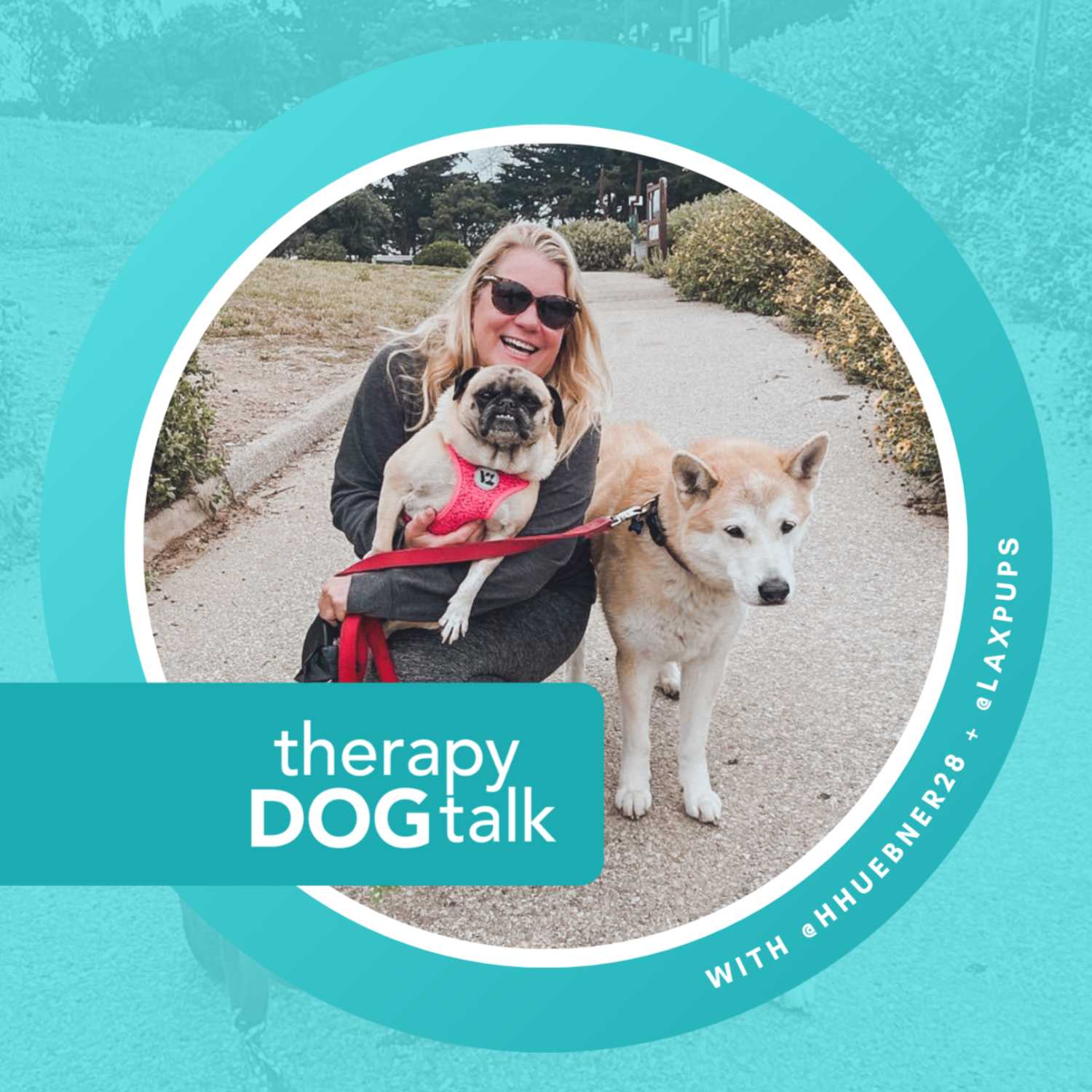 Heidi, Chance & Chubs: An Airport Therapy Dog Coordinator. – Therapy ...